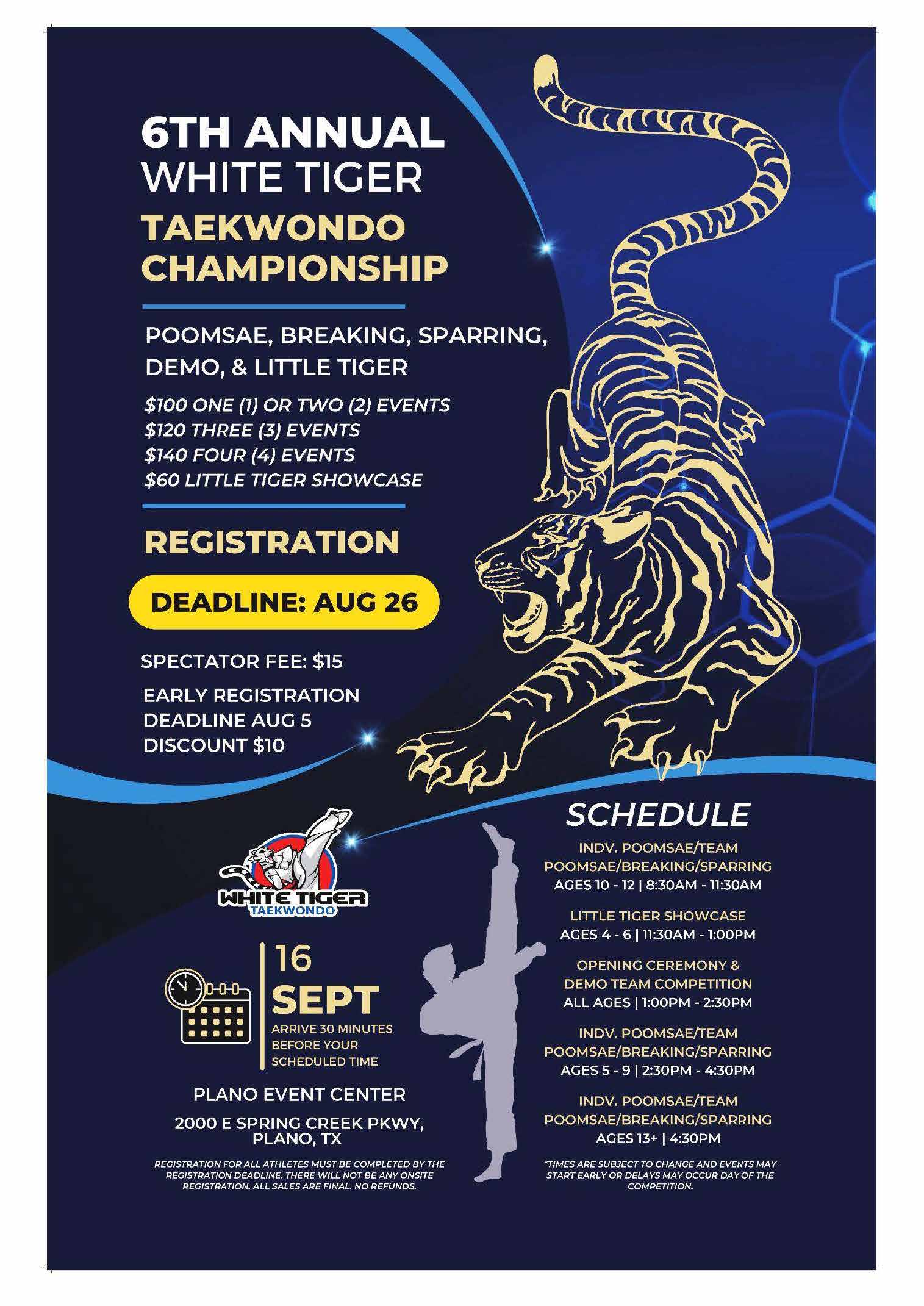 Taekwondo Tournament Poster